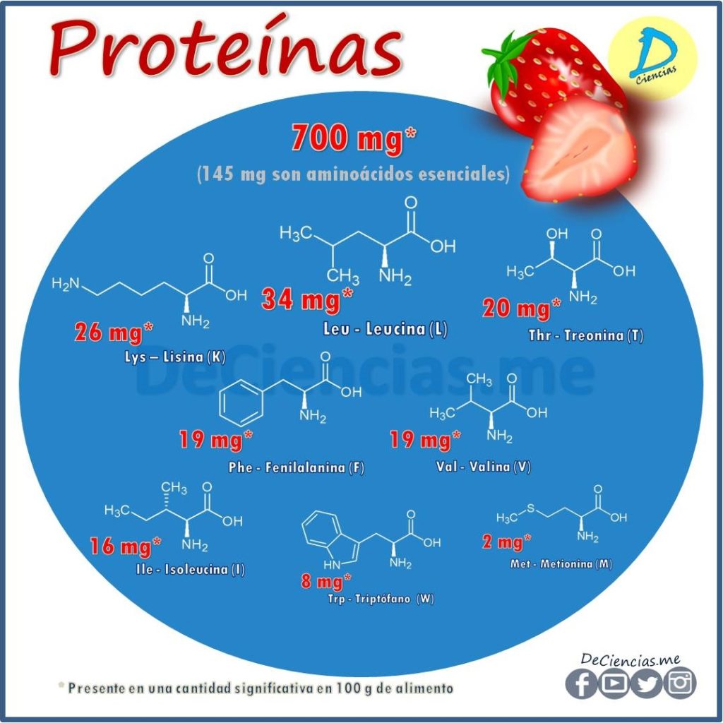 ¿Cuáles son los NUTRIENTES de las fresas? - Tu Blog de Ciencias