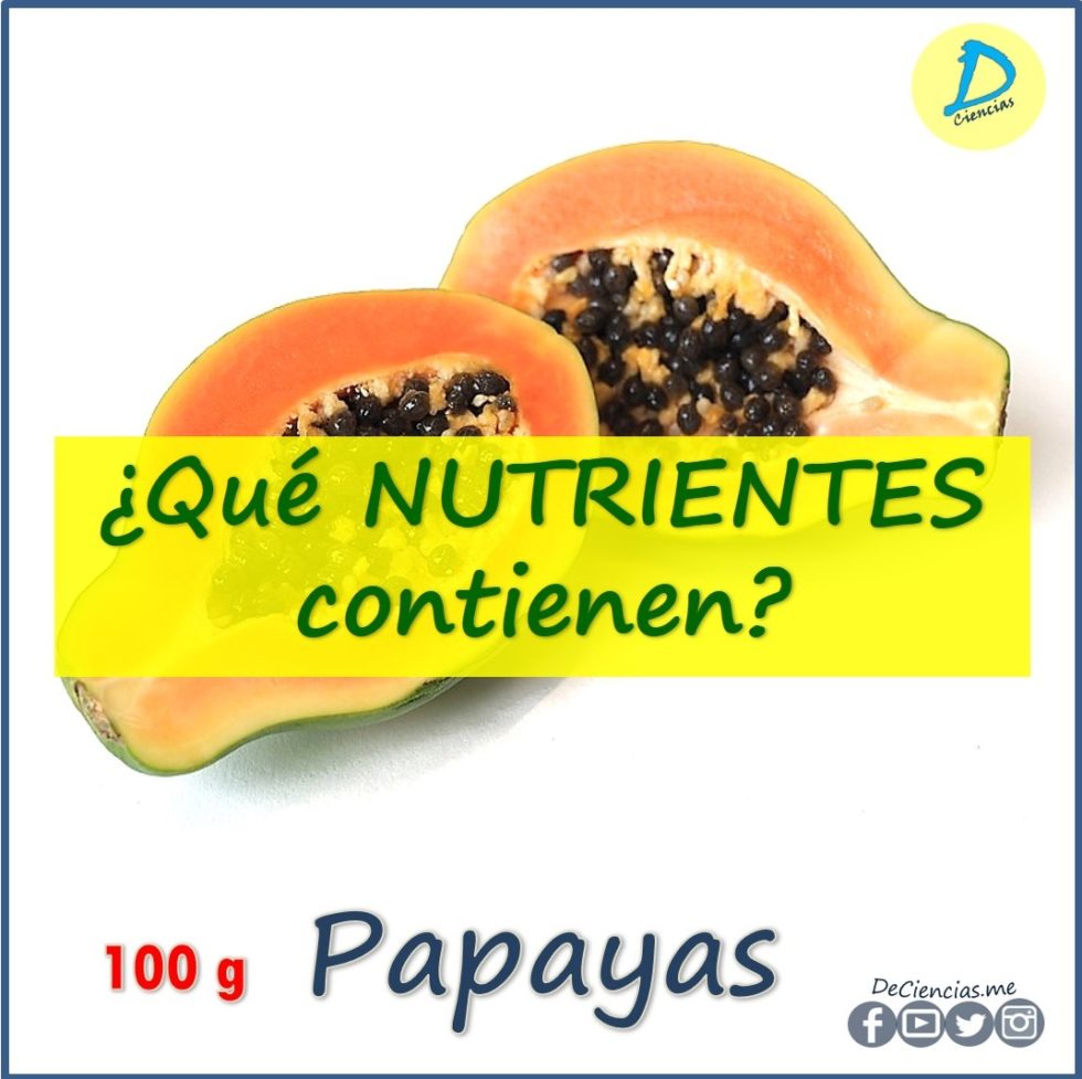 ¿Cuáles son los NUTRIENTES de la Papaya? - Tu Blog de Ciencias
