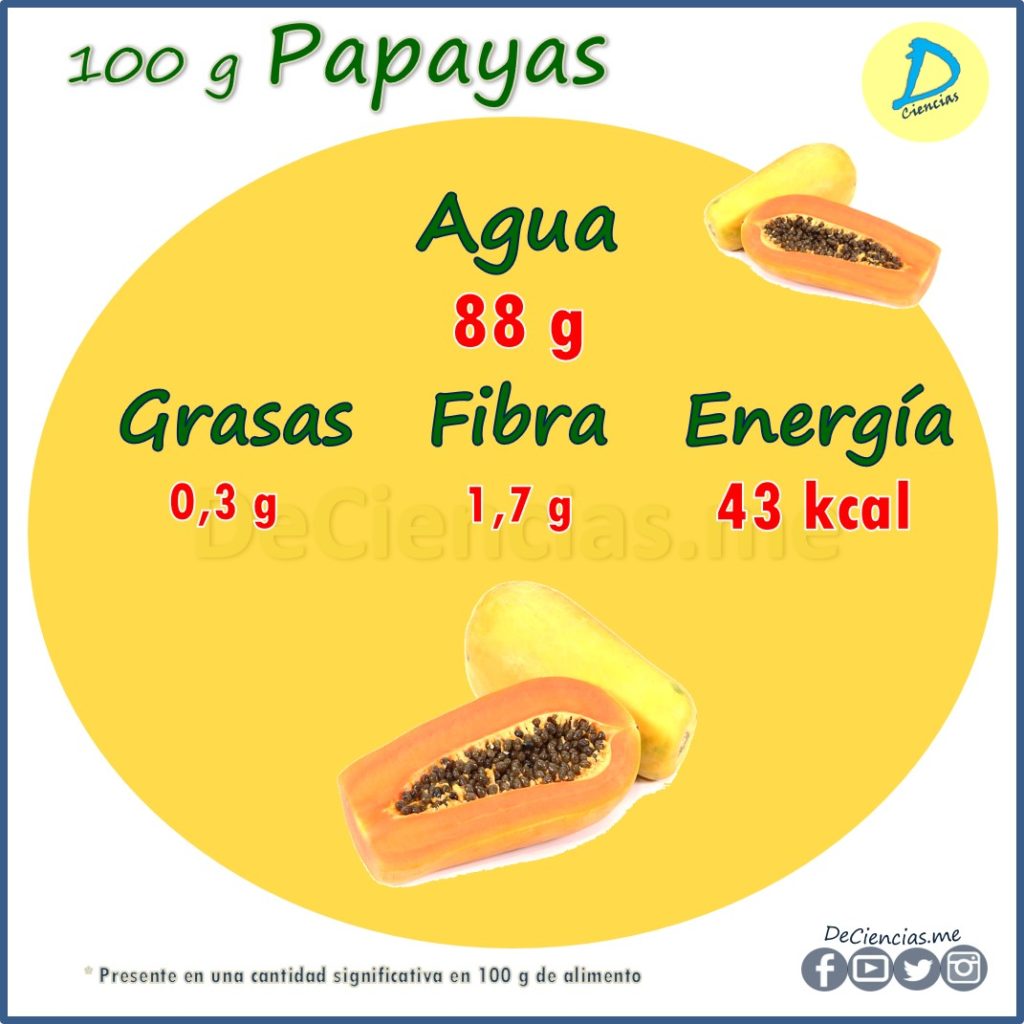 ¿Cuáles son los NUTRIENTES de la Papaya? - Tu Blog de Ciencias