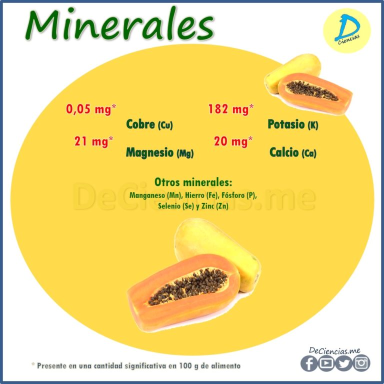 ¿Cuáles son los NUTRIENTES de la Papaya? - Tu Blog de Ciencias
